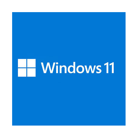 Microsoft Windows 11 Famille 64 Bits OEM 1 PC Fr